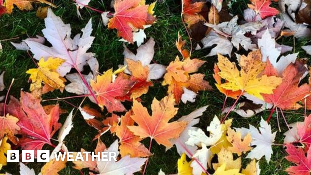 Why has it been such a pretty autumn? - BBC Weather