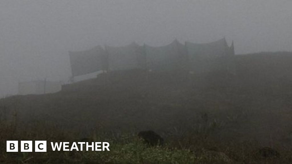 Fog catchers of Peru - BBC Weather