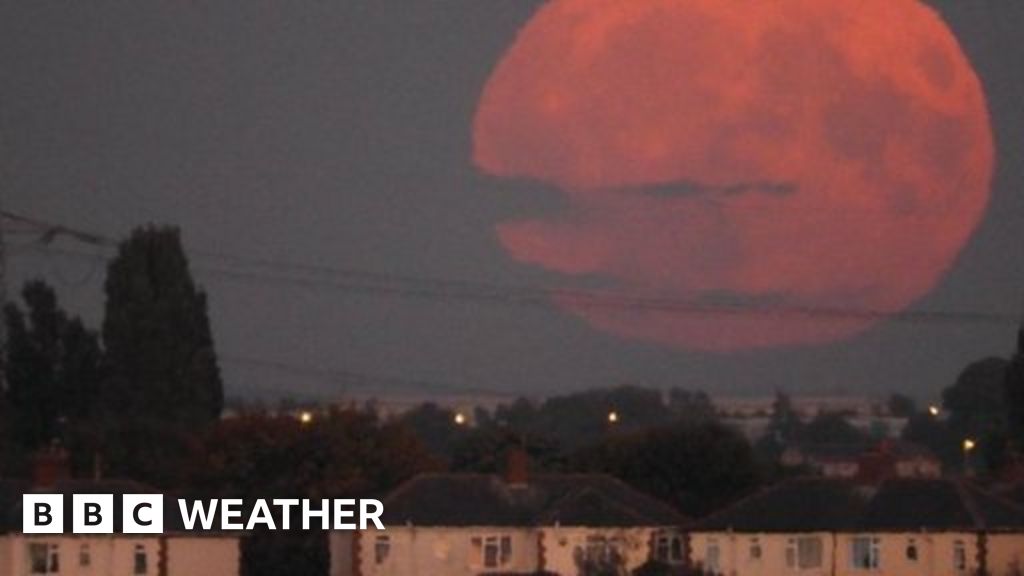 Harvest moon illuminates the sky - BBC Weather