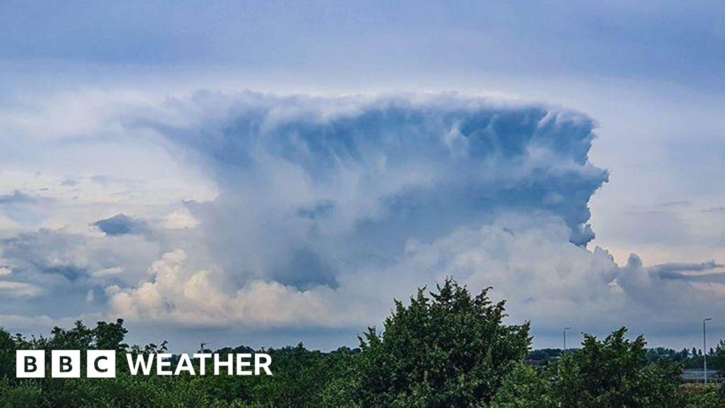 Weather for the Week Ahead - BBC Weather