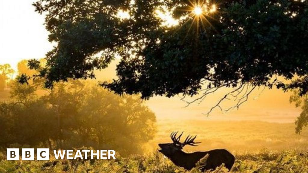 One Autumn Day - BBC Weather