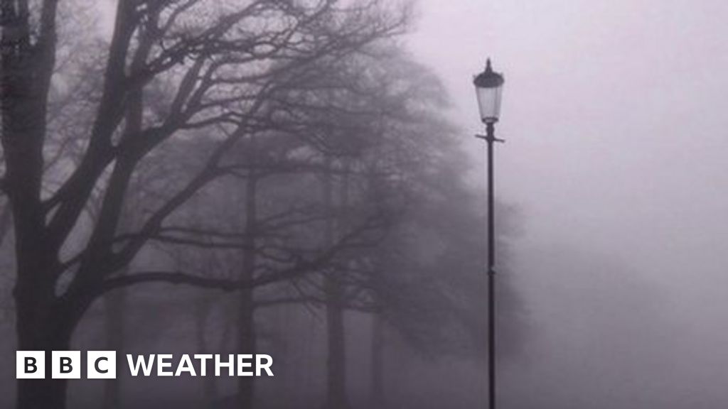How does fog form? - BBC Weather