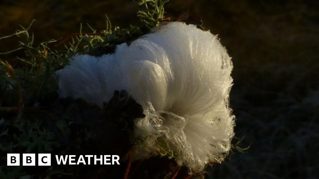 Nine fascinating phenomena photographed by Weather Watchers - BBC Weather