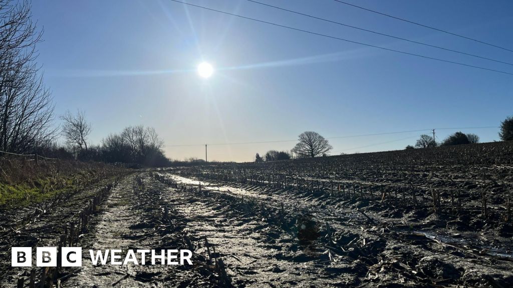 What does apricity mean? - BBC Weather