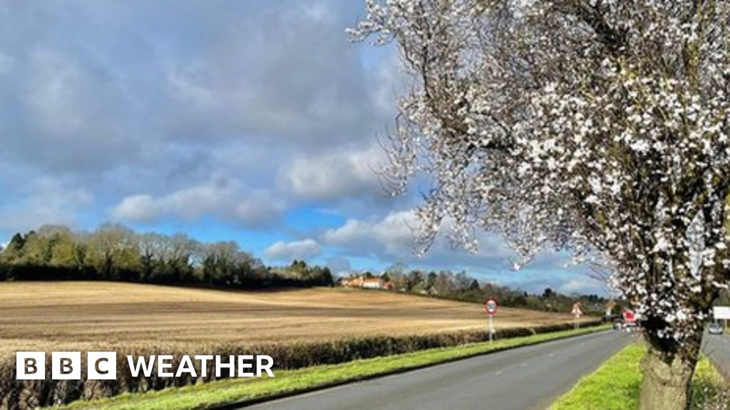 Weather for the week ahead - BBC Weather