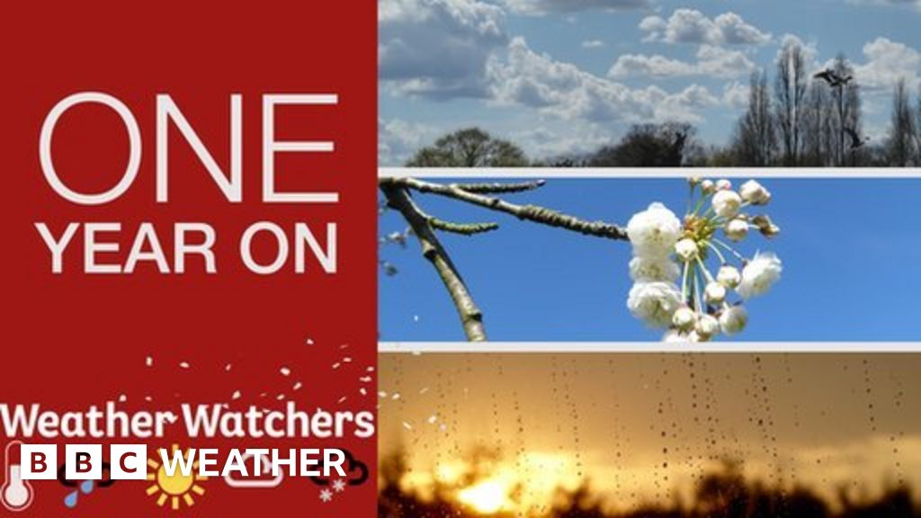 Weather Watchers: One Year On - BBC Weather