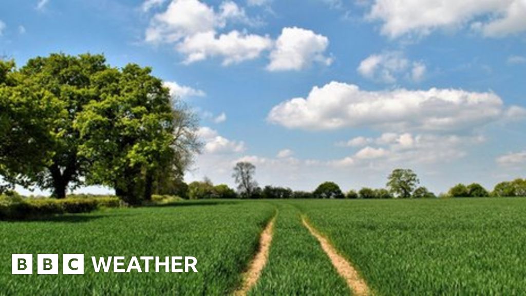 Weather for the Week Ahead - BBC Weather