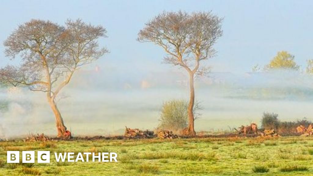Gallery: Morning mist - BBC Weather