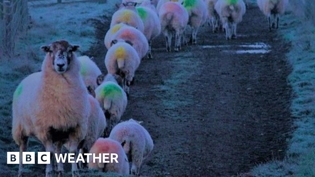 One cold and frosty morning - BBC Weather