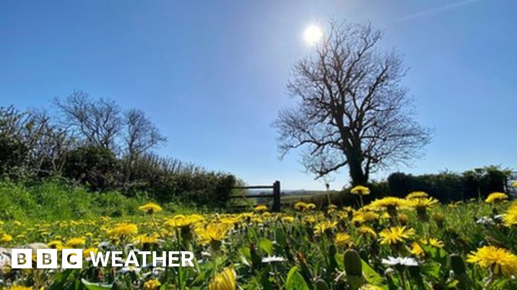 Weather for the Week Ahead - BBC Weather