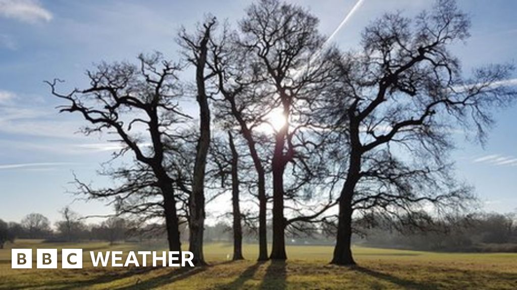 Weather for the week ahead - BBC Weather