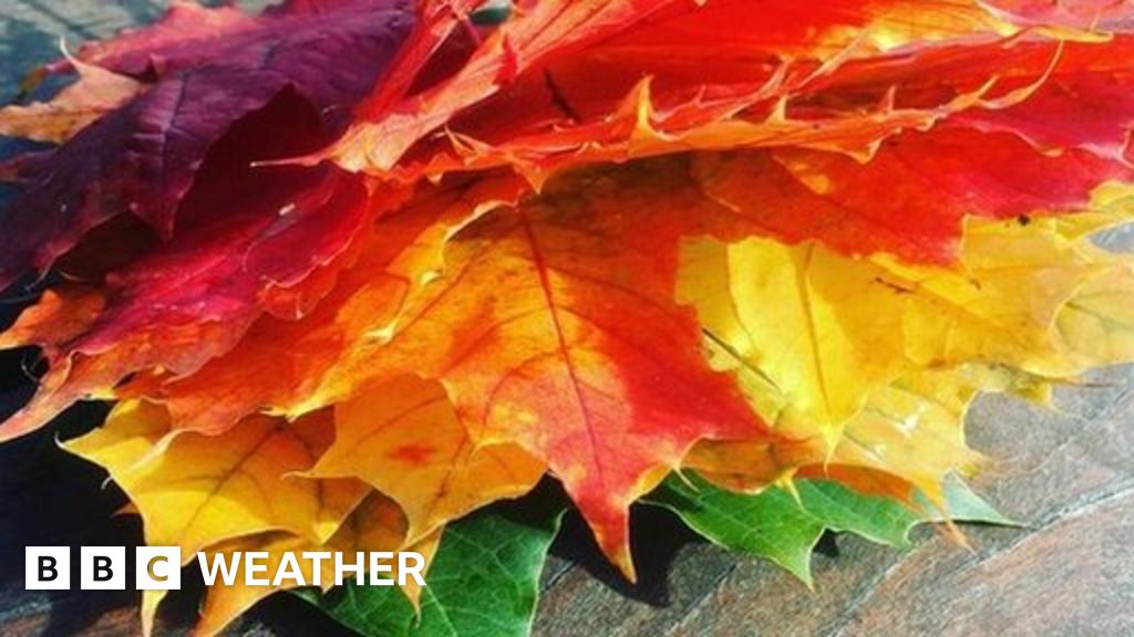 Gallery: Autumn hues - BBC Weather