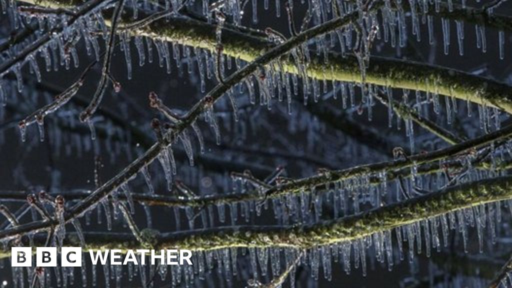 December world weather photos - BBC Weather