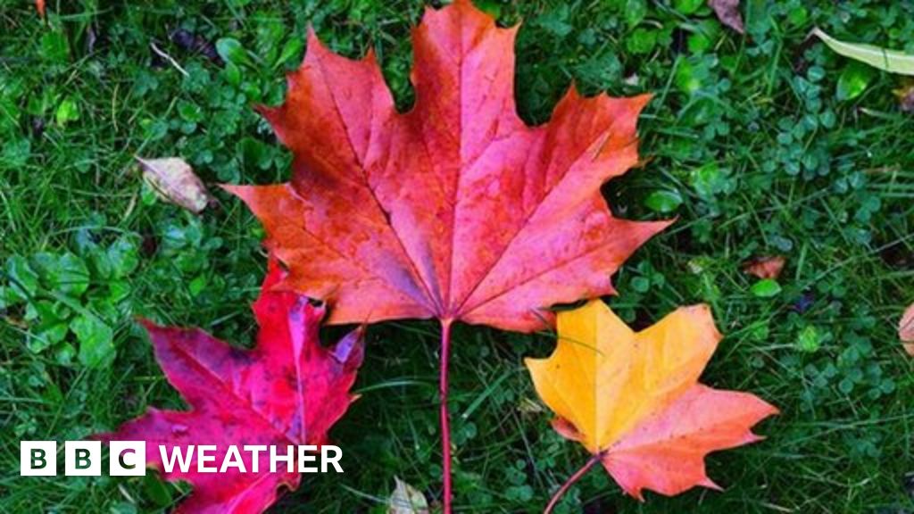 Weather Watchers photos: Scotland - BBC Weather