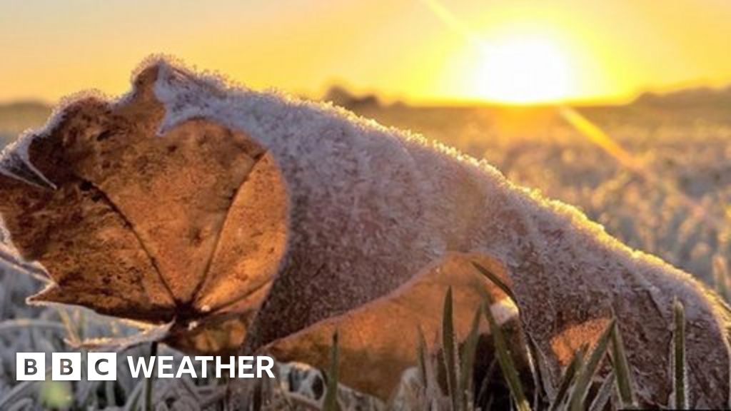 Gallery: First Frost - BBC Weather