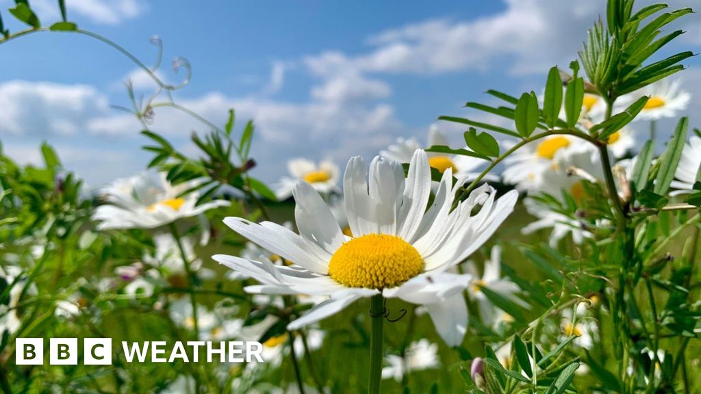 Will the weather improve over the next few days? - BBC Weather