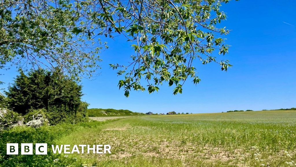 Weather for the Week Ahead - BBC Weather