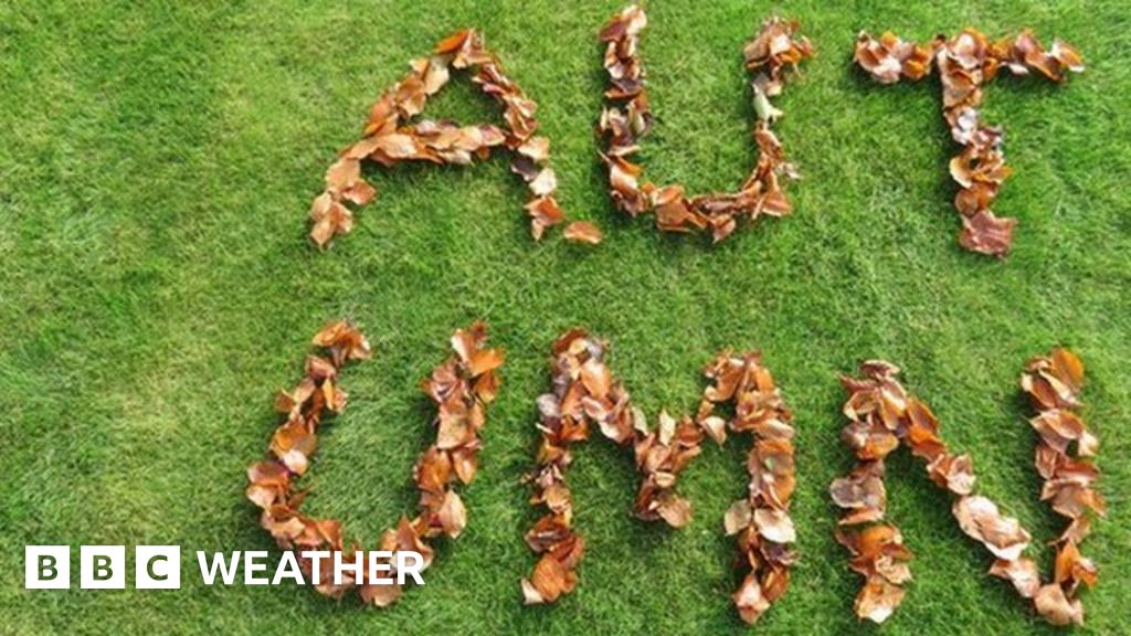 Gallery: Signs of autumn - BBC Weather