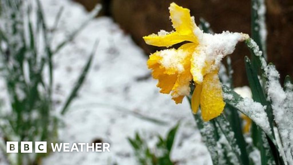 Gallery: Scottish spring snow - BBC Weather