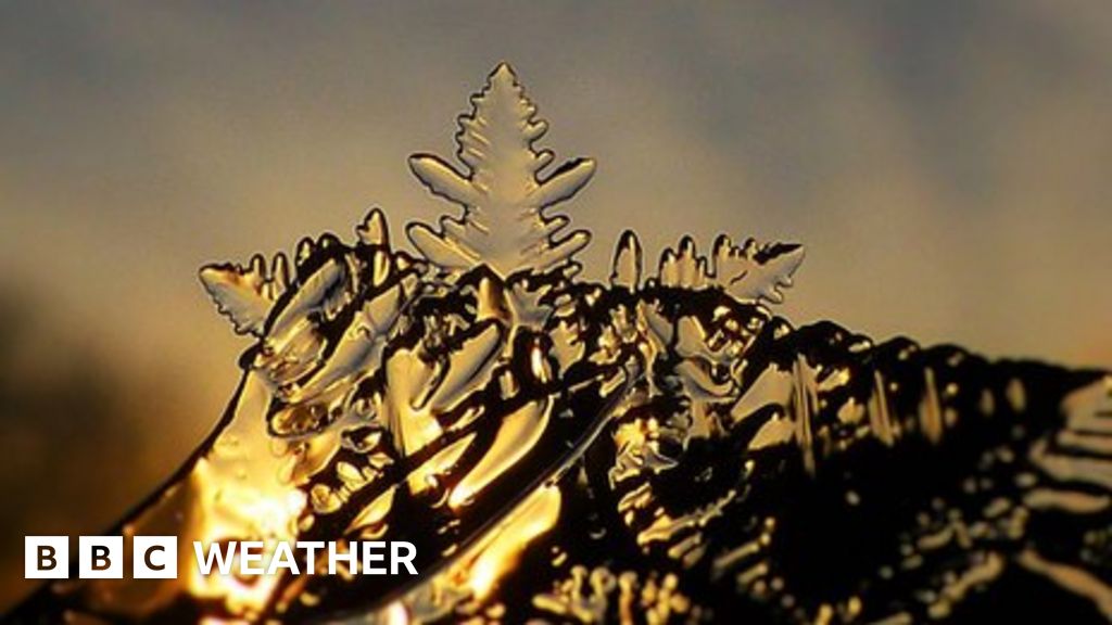 There's more to frost than it just being cold. - BBC Weather