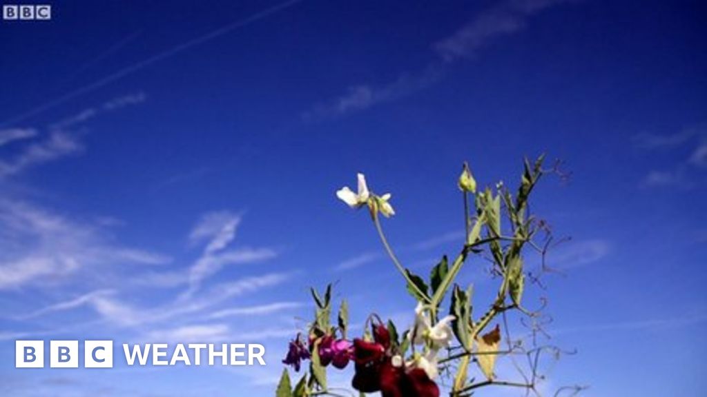 The sky really isn't blue, it's a trick of the light - BBC Weather