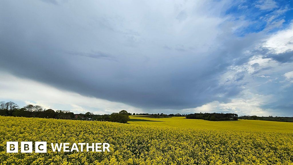 Weather for the Week Ahead - BBC Weather