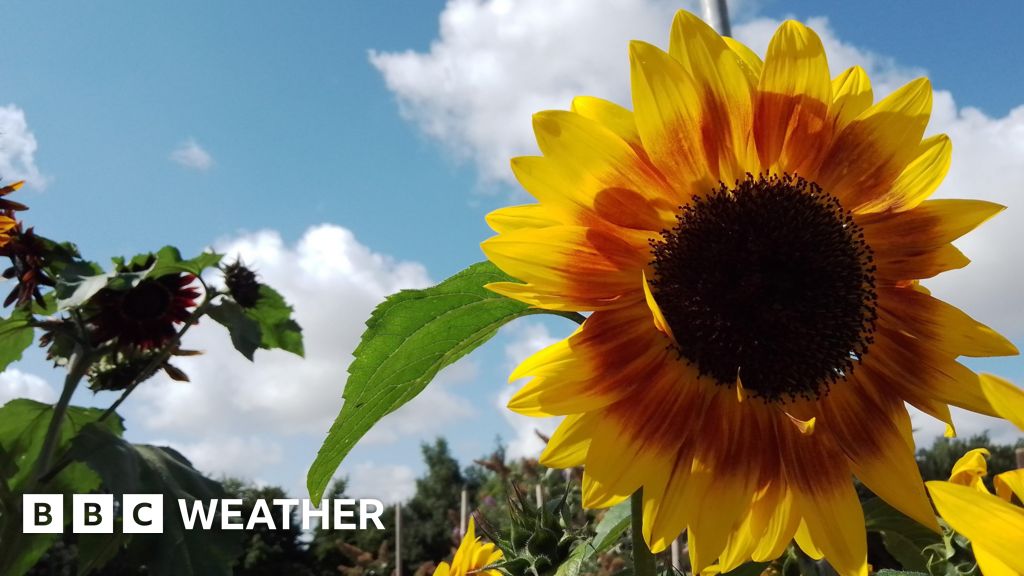 Monthly Outlook - BBC Weather