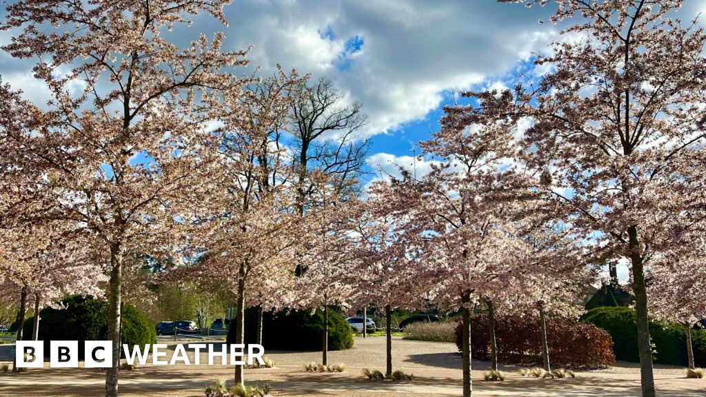 Weather for the week ahead - BBC Weather