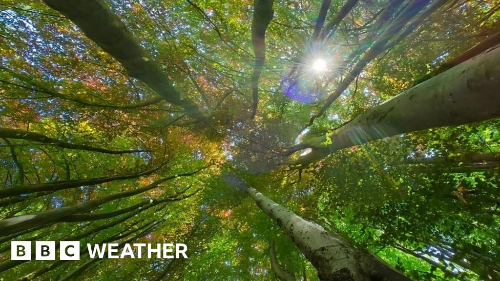 Weather for the Week Ahead - BBC Weather