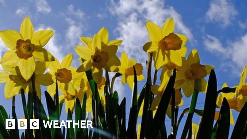 Weather for the Week Ahead - BBC Weather