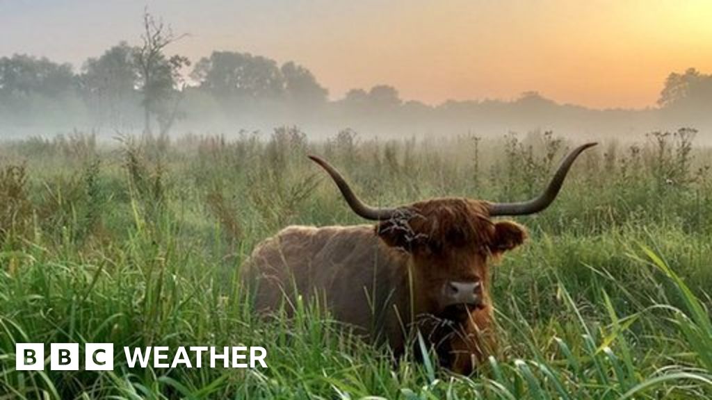 Weather Watcher profile: Walking Tractor - BBC Weather