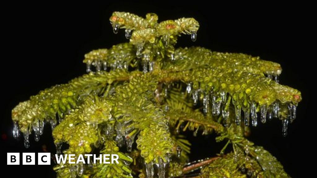 The beauty of winter - BBC Weather