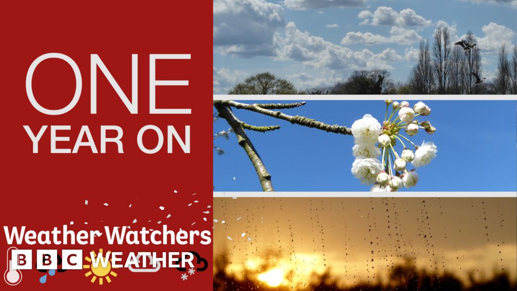 My Weather Watchers: Ben Rich - BBC Weather