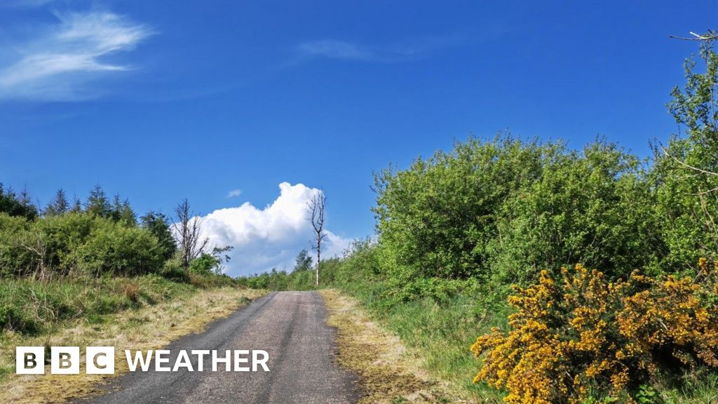 Weather for the Week Ahead - BBC Weather
