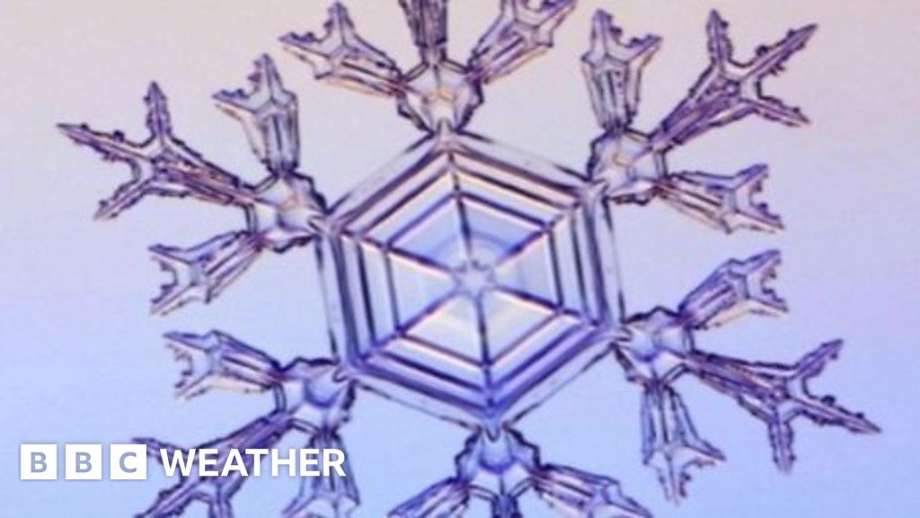 Snowflakes look white - but are they really? - BBC Weather