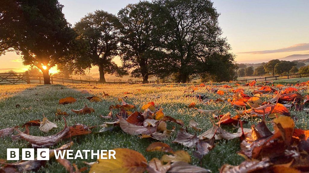 Weather for the week ahead - BBC Weather