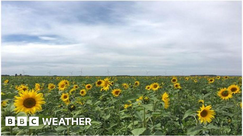 Weather for the week ahead - BBC Weather