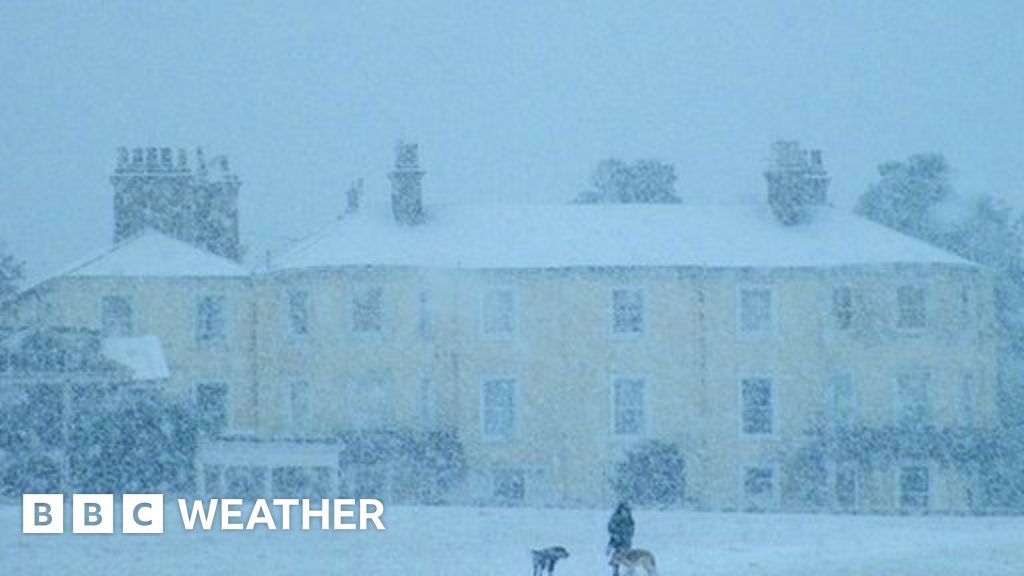 Gallery: January snow - BBC Weather