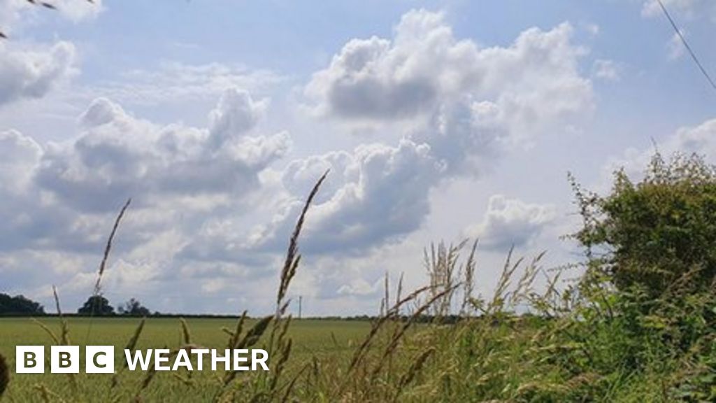 Weather for the Week Ahead - BBC Weather