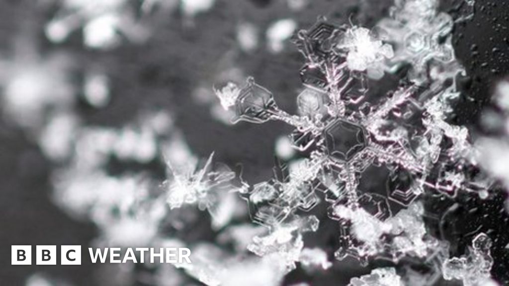 Beautiful snowflakes photographed by BBC Weather Watchers - BBC Weather