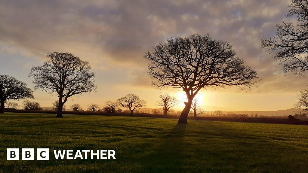 Weather for the week ahead - BBC Weather