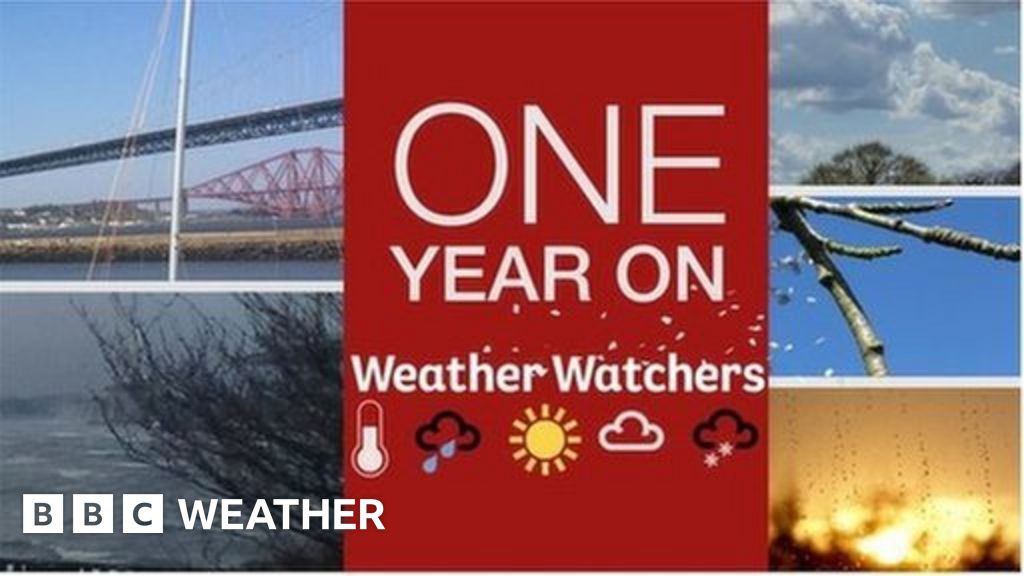 My Weather Watchers: Nick Miller - BBC Weather