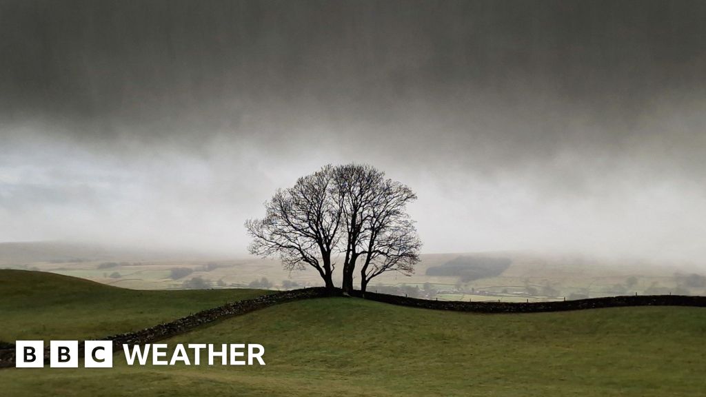 This week's weather forecast - BBC Weather