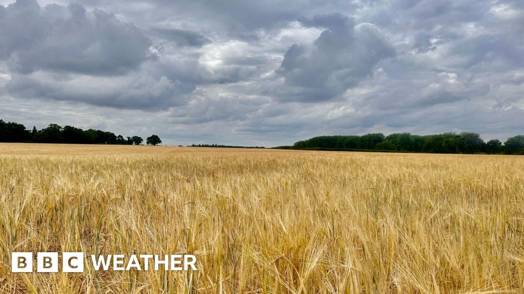 How warm will it be this week? - BBC Weather
