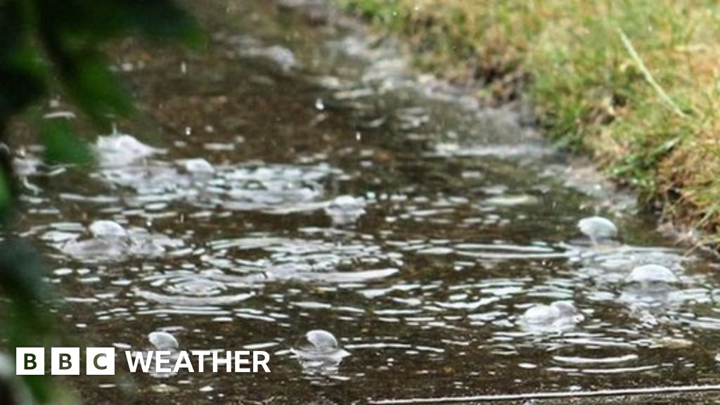Petrichor: the smell of rain - BBC Weather