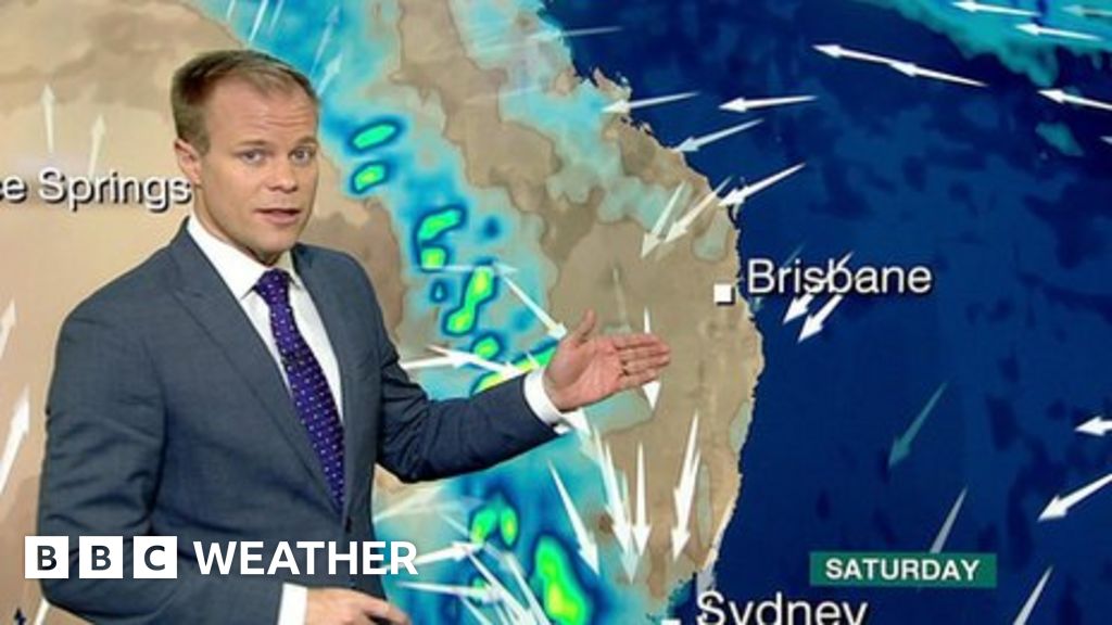 Rugby World Cup Final forecast - BBC Weather