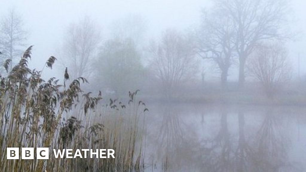 Gallery: One foggy Tuesday morning - BBC Weather