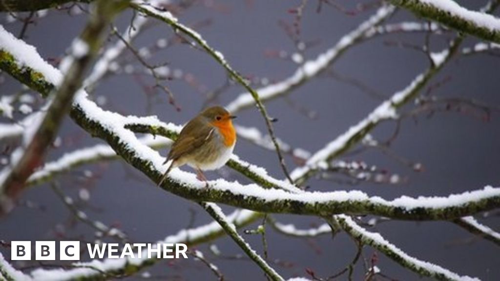 Will it be a white Christmas? - BBC Weather