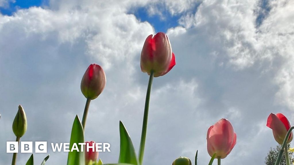 Weather for the Week Ahead - BBC Weather