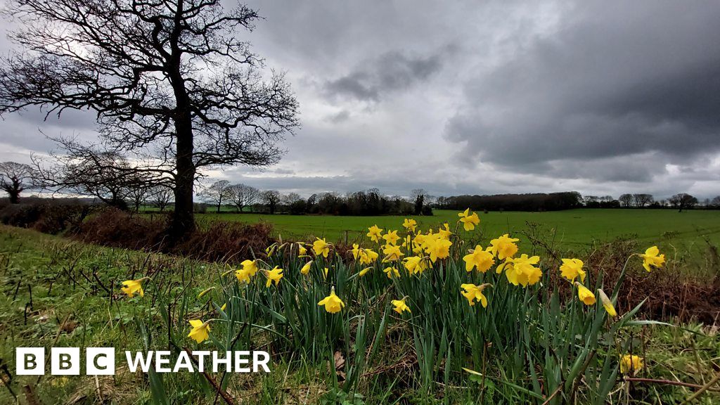 Weather for the Week Ahead - BBC Weather